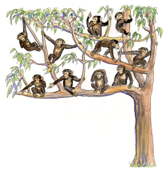 Ten Monkeys – Amy Hunter